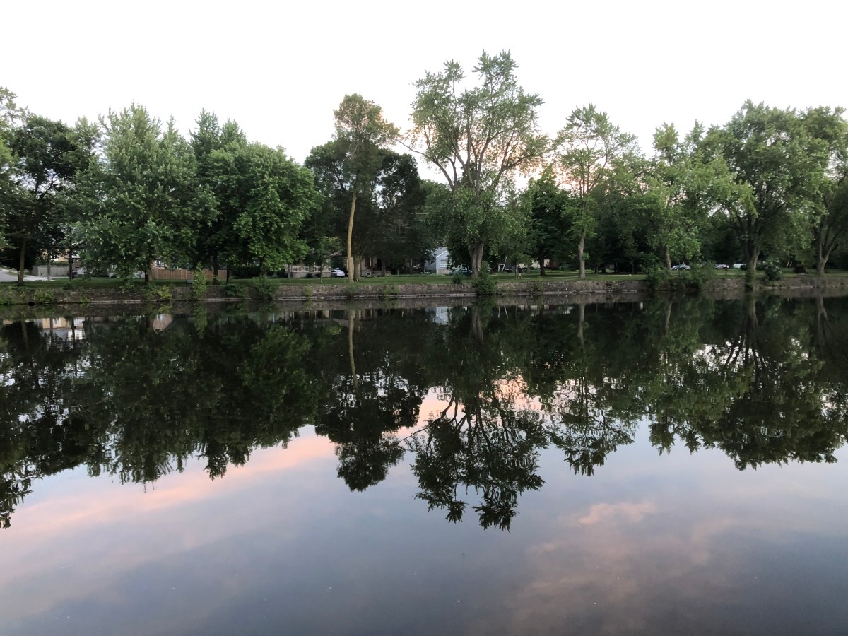 Poem: The Earth Child – Dowsing for Divinity