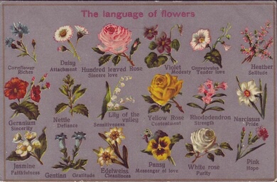 The language of flowers – Dowsing for Divinity