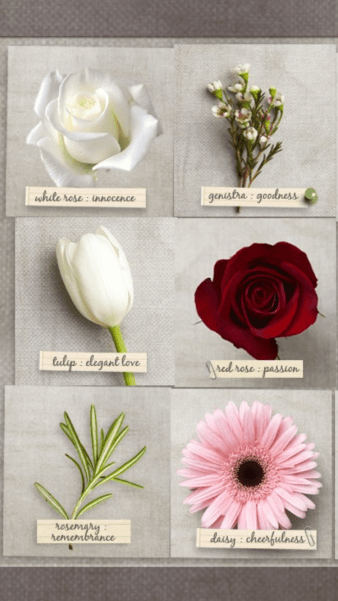 The language of flowers – Dowsing for Divinity