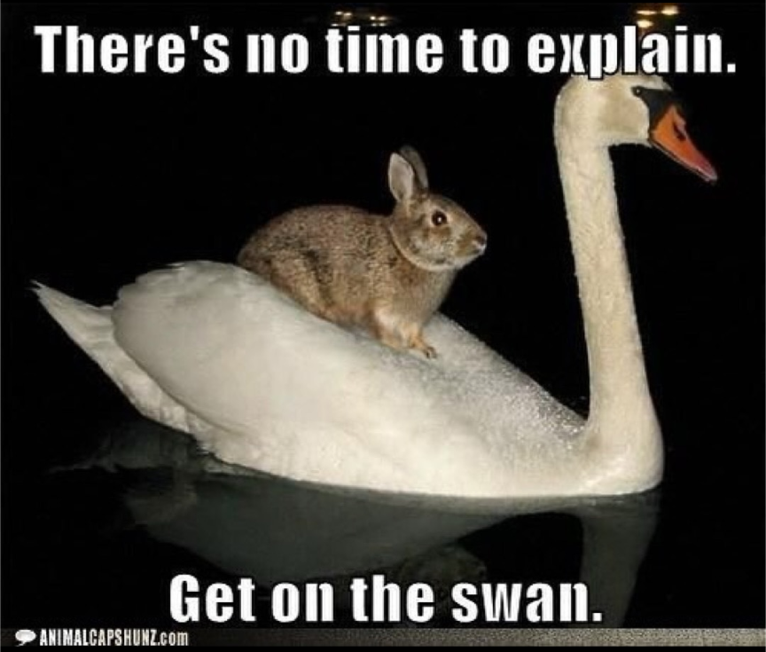 Dreams, drama, fauna – Dowsing for Divinity