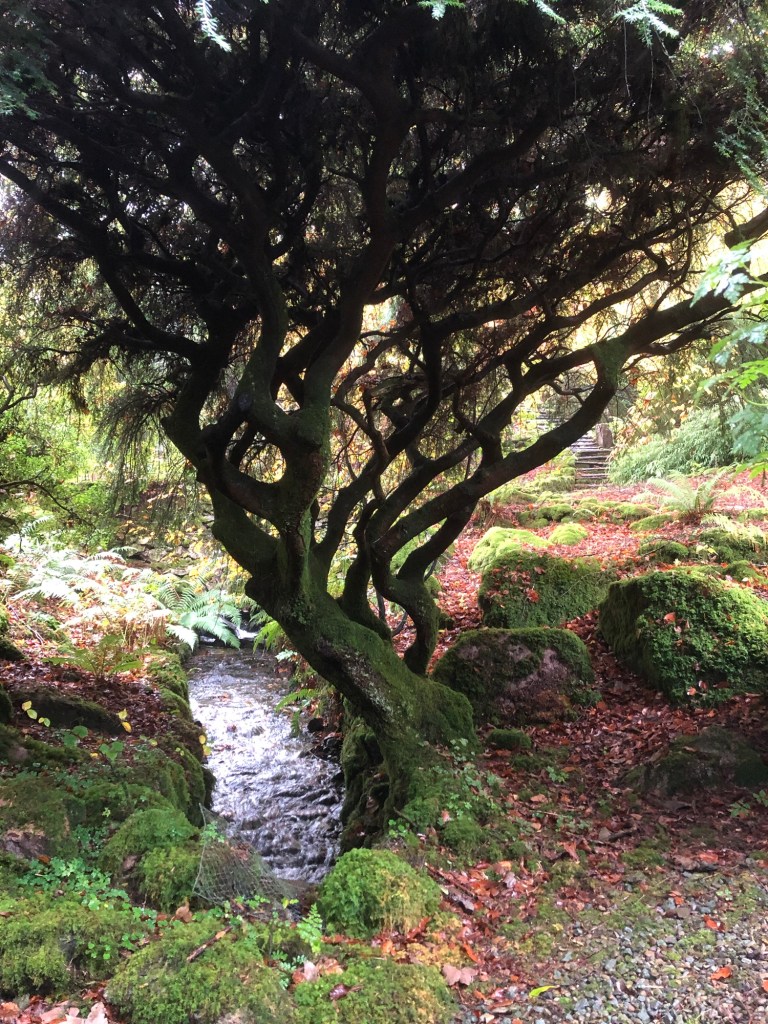 Erotic Religion: The Body and Sex for Wiccans and Pagans – Dowsing for Divinity