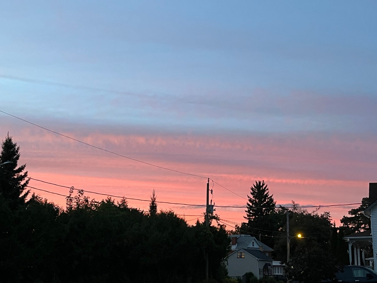 The function of tradition | Dowsing for Divinity